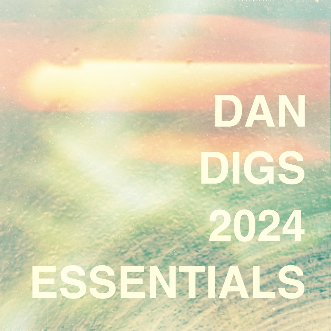 Dan Digs 2024 Essentials | DAN DIGS